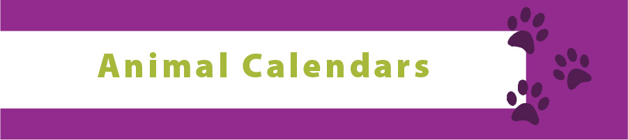 Products | ValueCalendars.com