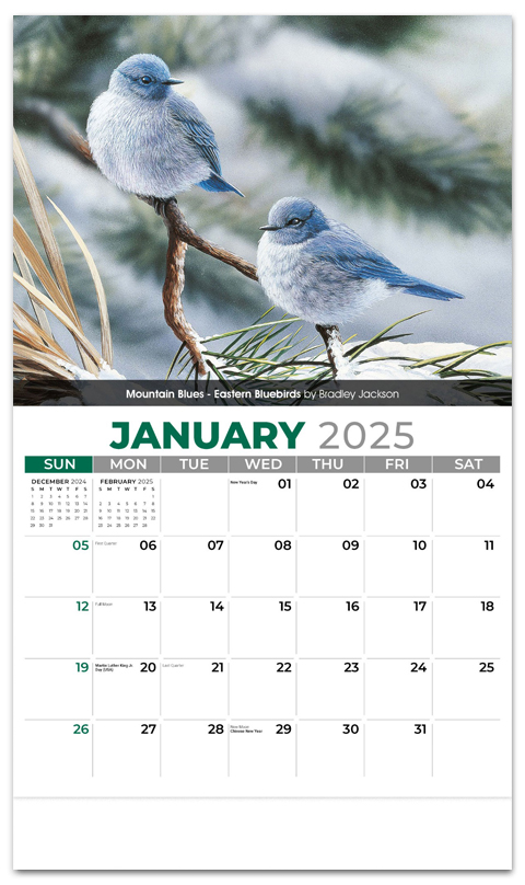 Garden Birds Calendar | ValueCalendars.com