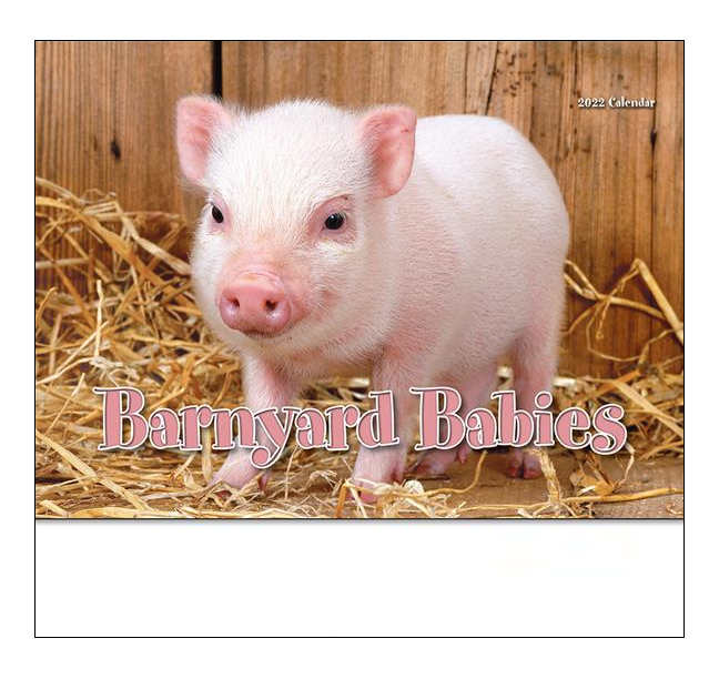 Barnyard Babies Calendar | ValueCalendars.com