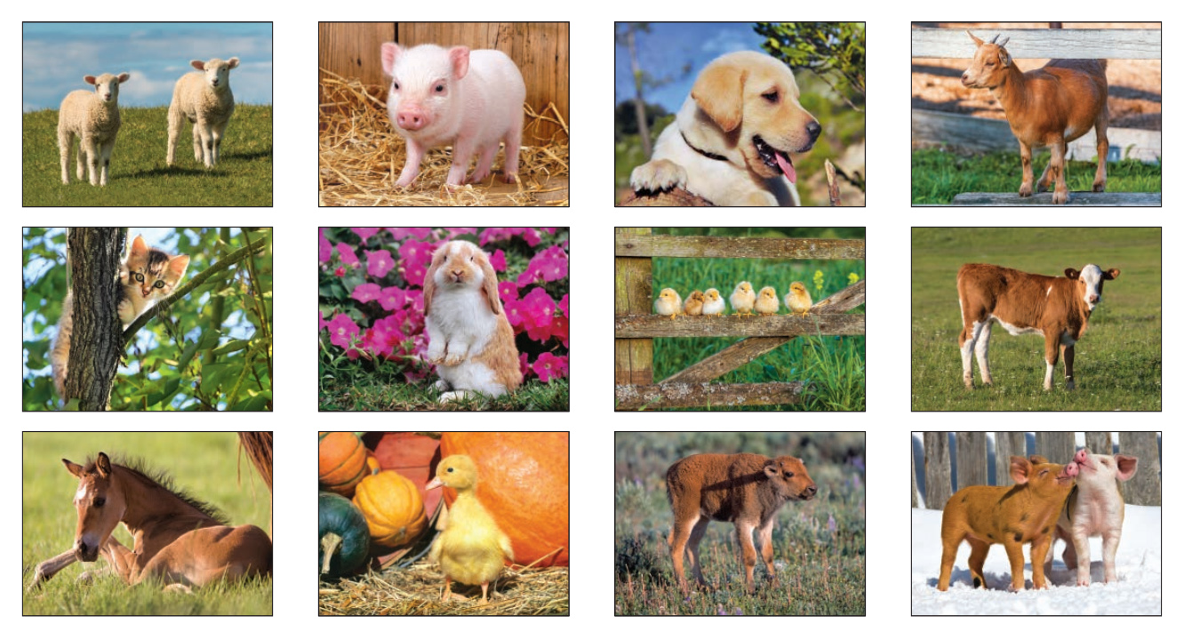 Barnyard Babies Calendar | ValueCalendars.com