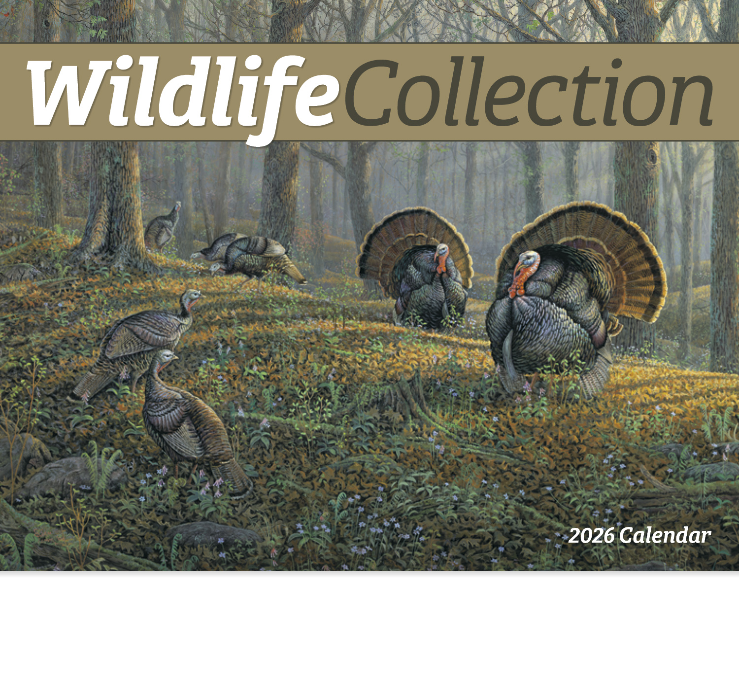 Wildlife Collection Calendar | ValueCalendars.com
