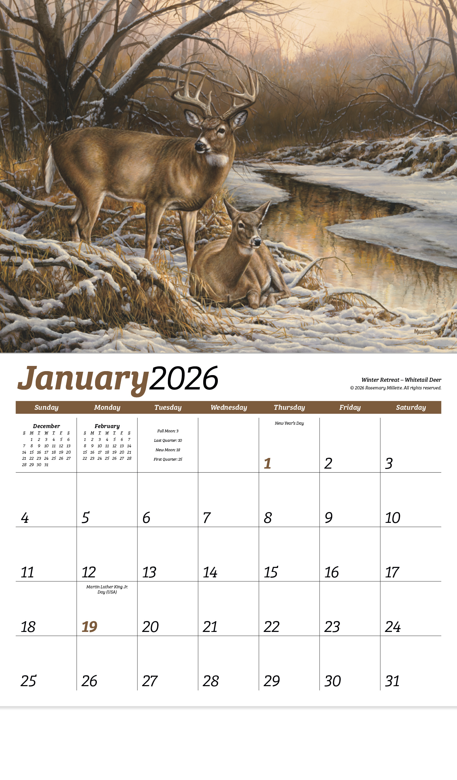 Wildlife Collection Calendar | ValueCalendars.com