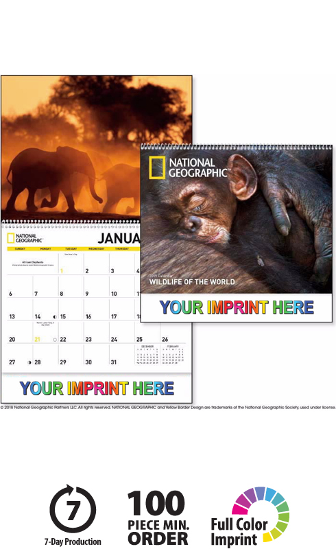 2019 National Geographic Wildlife of the World Calendar | 11" X 19 ...