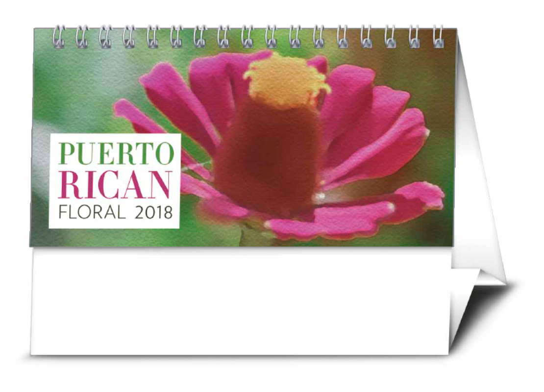 2018 Puerto Rican Floral Desk Calendar | 6" x 4-1/2" Imprinted Tent ...