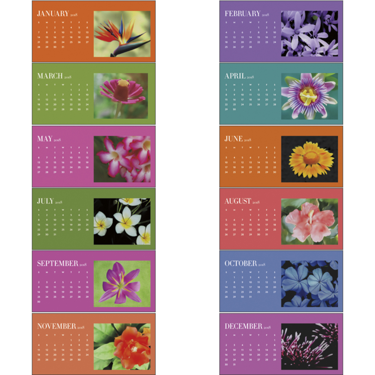 2018 Puerto Rican Floral Desk Calendar | 6" x 4-1/2" Imprinted Tent ...
