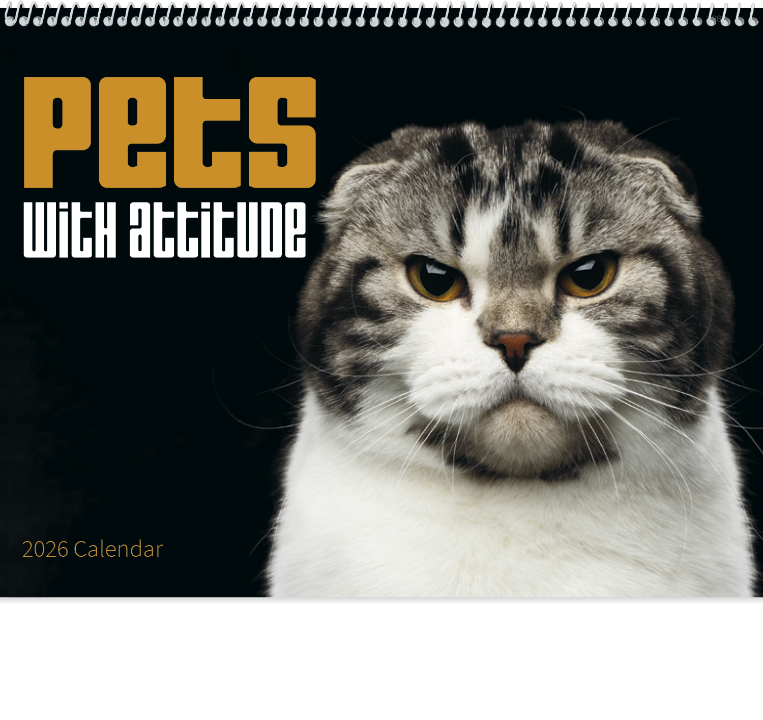 Pets with Attitude Spiral Calendar | ValueCalendars.com