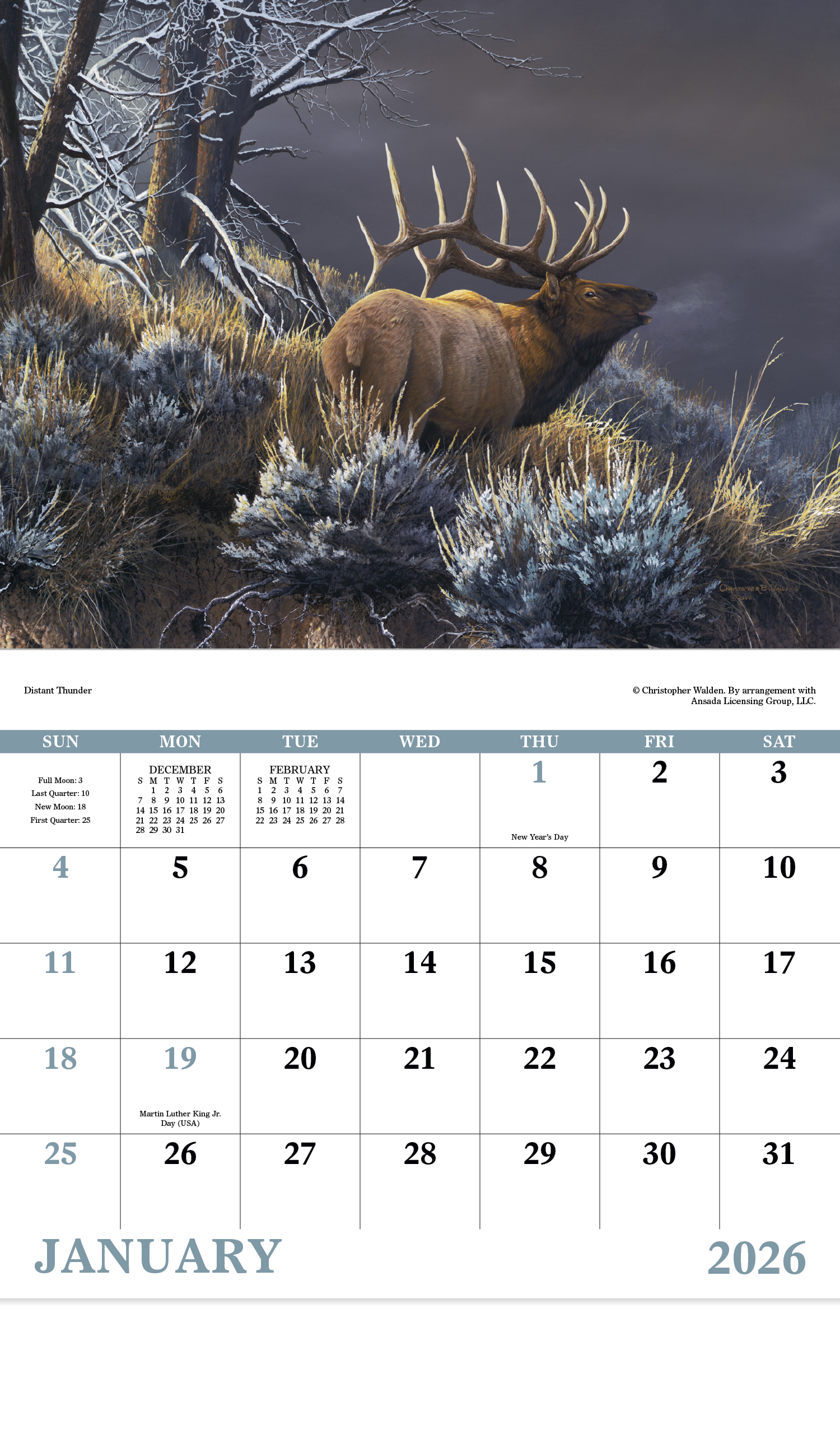 Wildlife Canvas Calendar | ValueCalendars.com