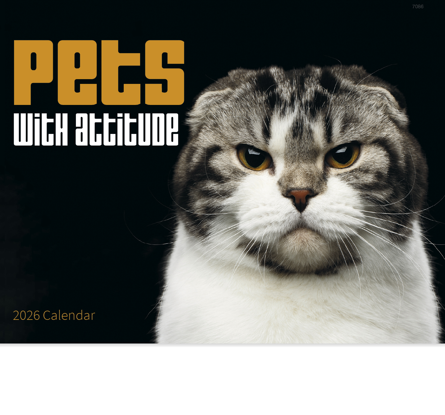 Pets with Attitude Calendar | ValueCalendars.com