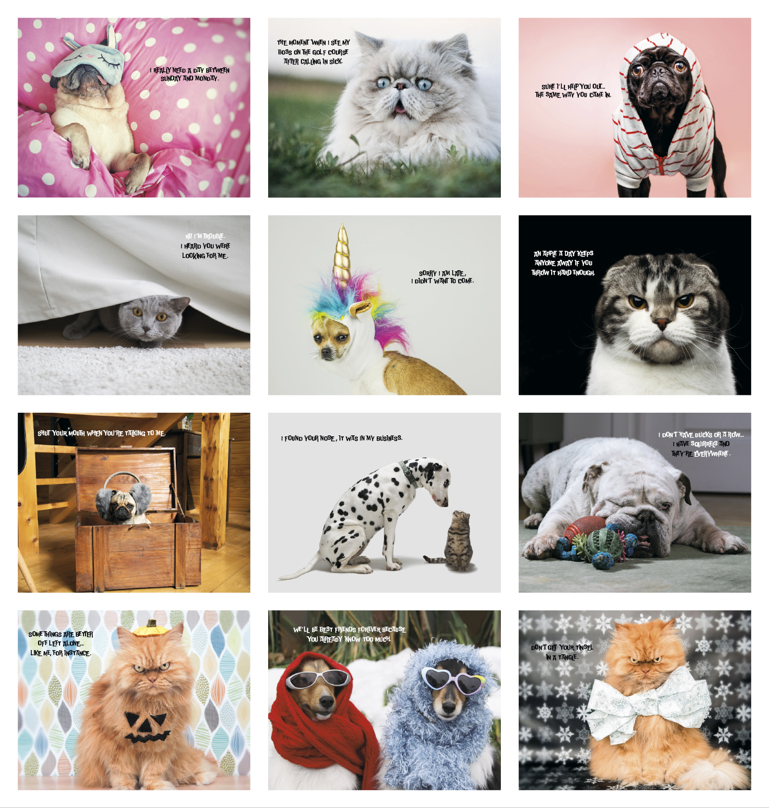 Pets with Attitude Calendar | ValueCalendars.com