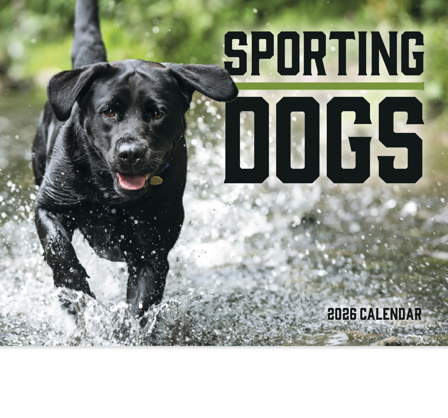 Sporting Dogs Calendar | ValueCalendars.com