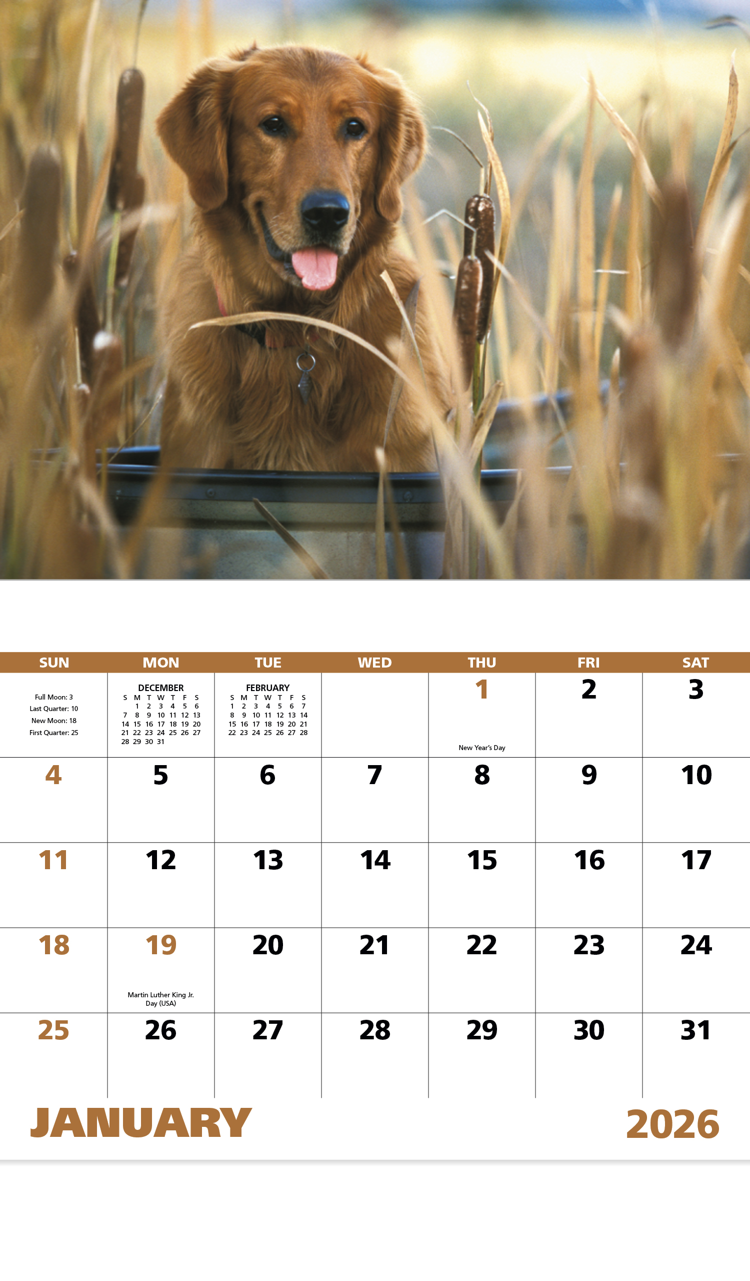 Sporting Dogs Calendar | ValueCalendars.com