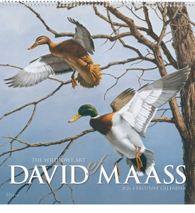 David Maass Executive Spiral Calendar | ValueCalendars.com