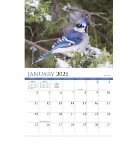 2026 Nature's Songbirds Promotional Wall Calendar | 10-7/8" x 18 ...