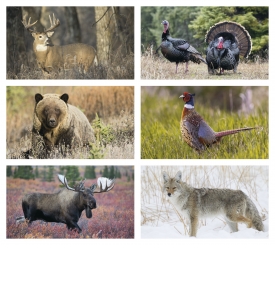 2026 Wildlife (6-Sheet) Calendar | 17" x 23" Imprinted 6-Sheet Large ...