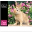 2025 Galleria Collection Pets Calendar | 10-5/8" x 18-1/2" Affordable ...