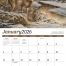 Wildlife Collection Calendar | ValueCalendars.com