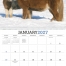 2020 Horses Calendar | 11" X 19" Imprinted Spiral Bound; Drop Ad ...