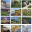 2021 Minnesota Calendar | 11" X 19" Imprinted Spiral Bound; Drop Ad ...